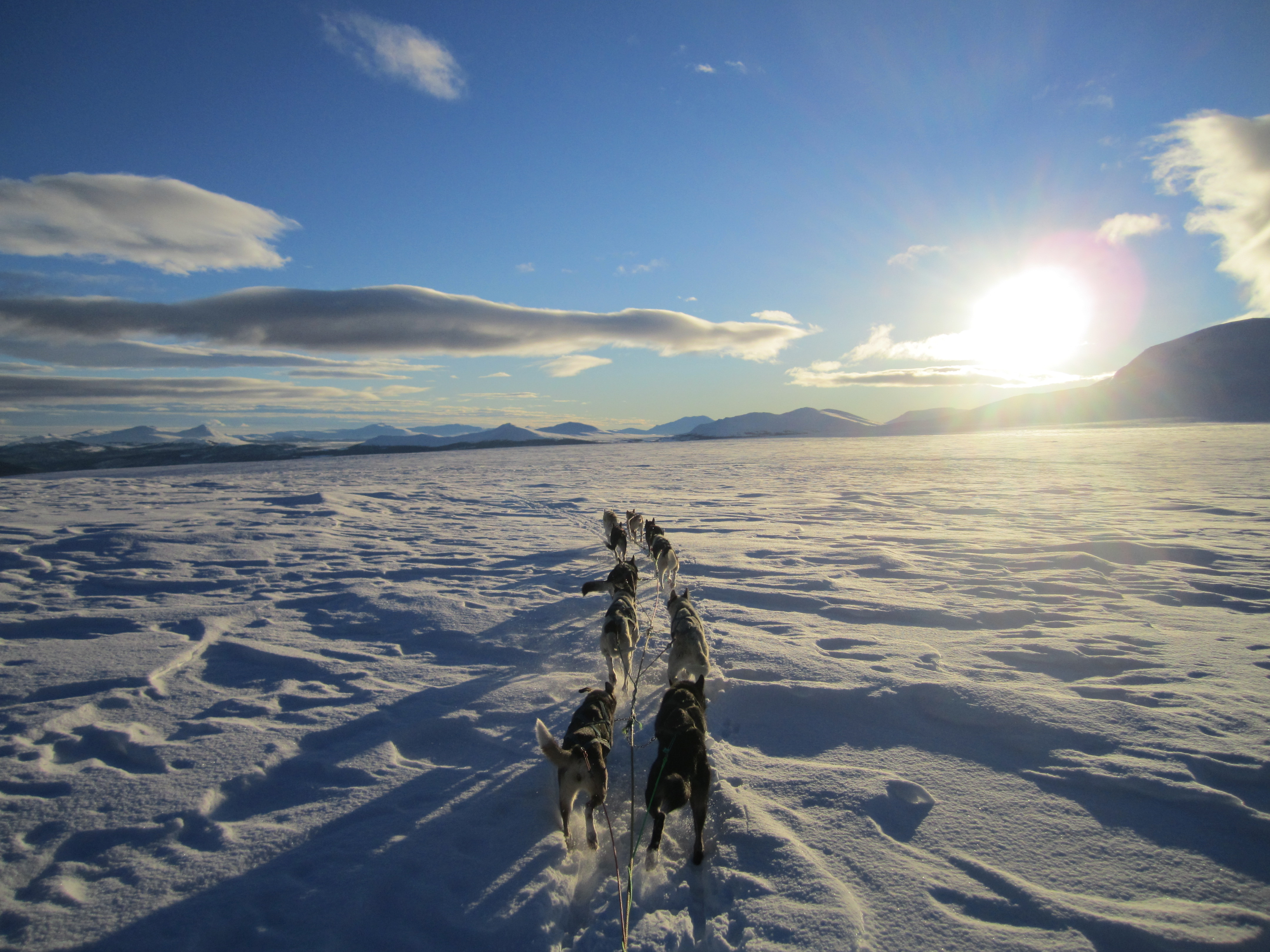 Sjodalen hyttetun - Mountains of Norway